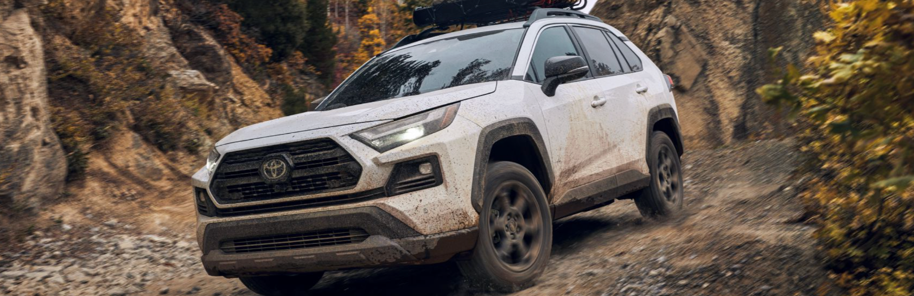 See the 2024 Toyota RAV4 in Raleigh, NC | Features Review